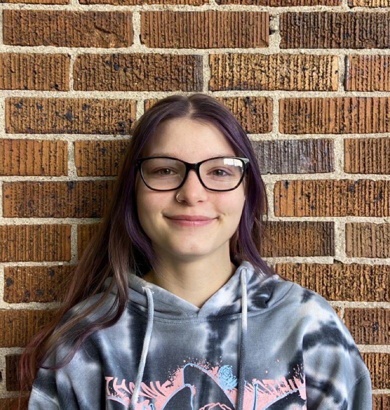 Don’t like LEAFing a season behind? SNOW problem! – The North Star